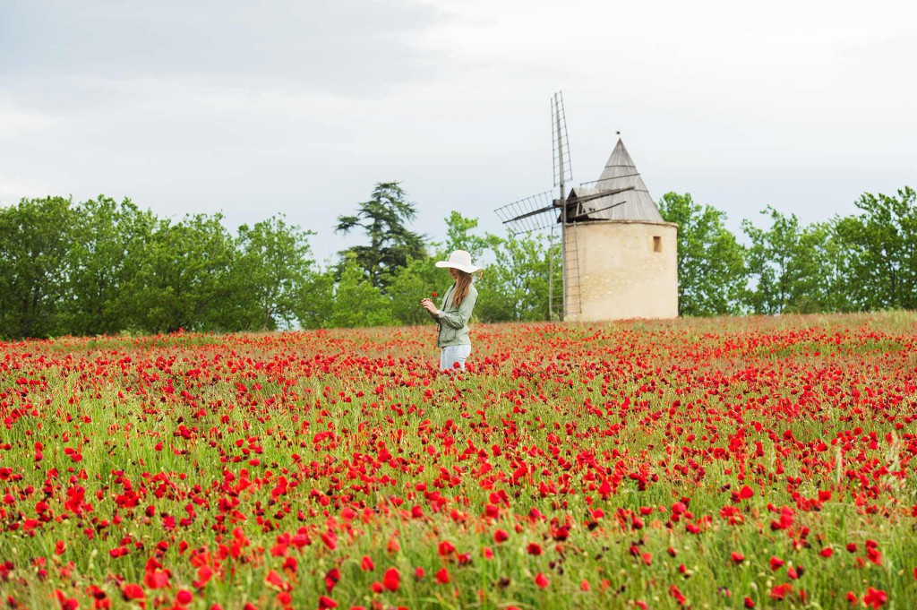 TOP 10 | Un Printemps en Provence