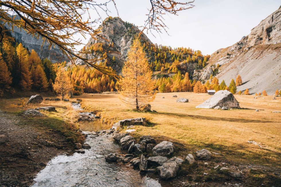 QUE FAIRE DANS LE PARC DU QUEYRAS?NOTRE GUIDE VOYAGE COMPLET