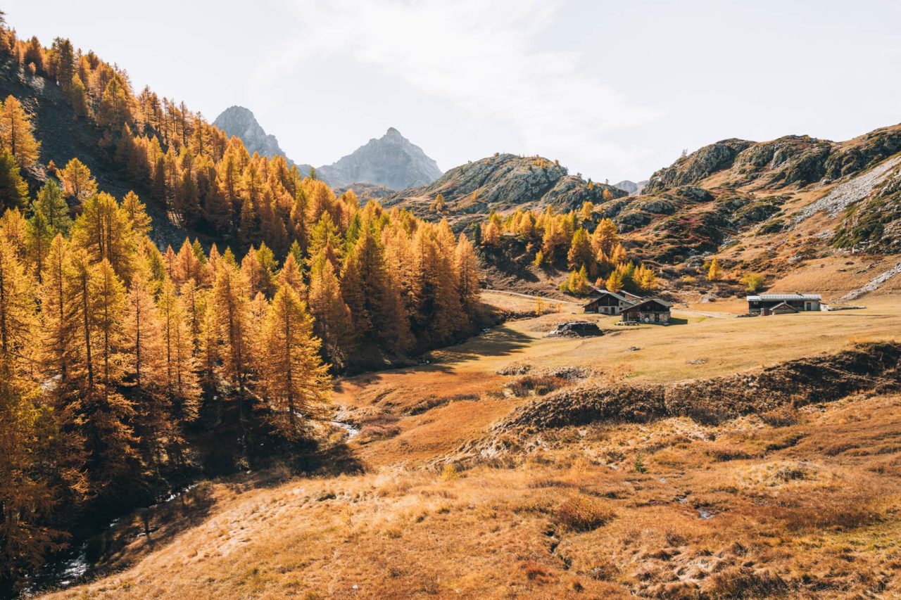 QUE FAIRE DANS LE PARC DU QUEYRAS?NOTRE GUIDE VOYAGE COMPLET