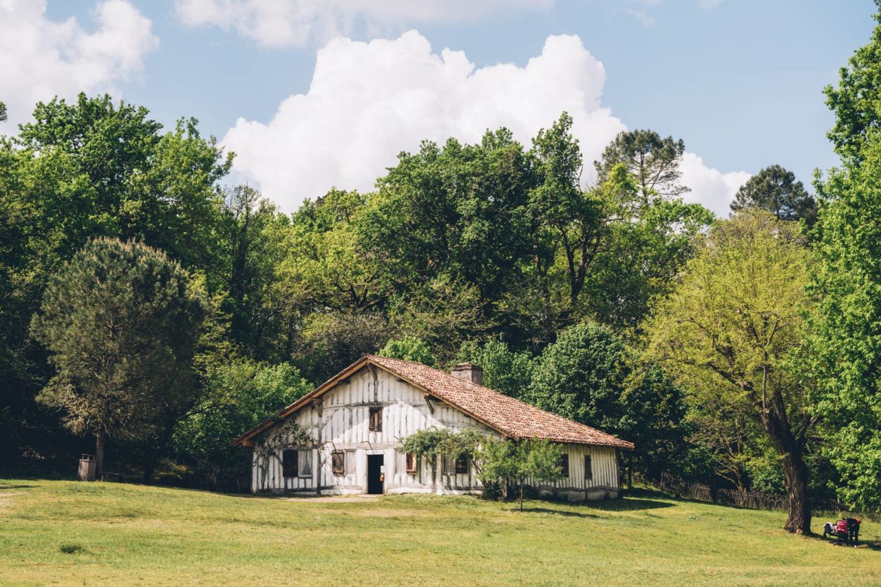 DECOUVRIR LE PARC NATUREL REGIONAL DES LANDES DE GASCOGNE