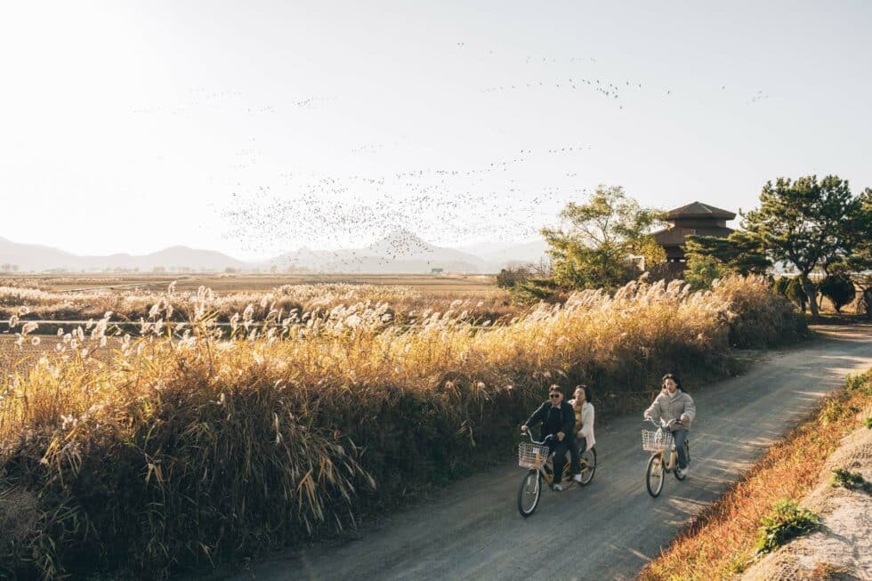 Que faire en Corée du Sud, notre itinéraire 2 semaines de voyage & conseils