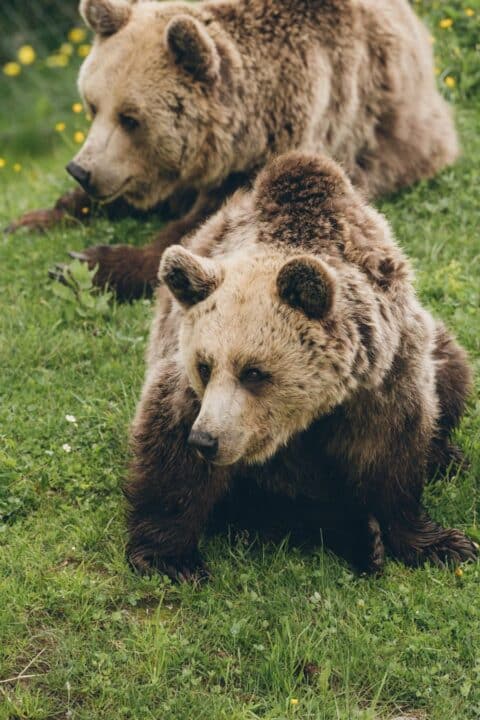 Visiter les Grisons en Suisse, que faire et voir en famille